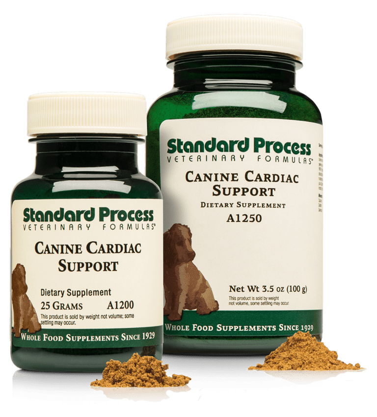 Standard Process Canine Cardiac Support | Holistic Vet's Review