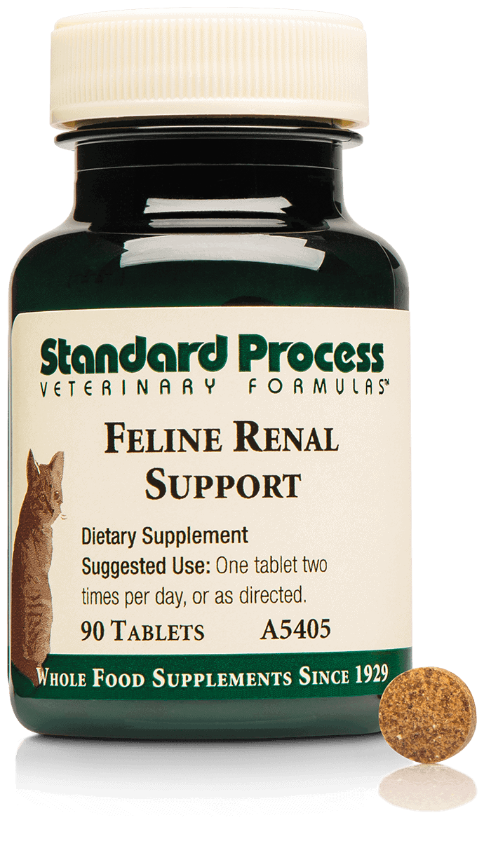 Standard Process Feline Renal Support