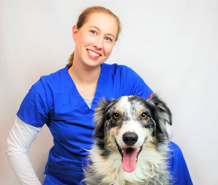 About Us - Journeys Mobile Veterinary Services