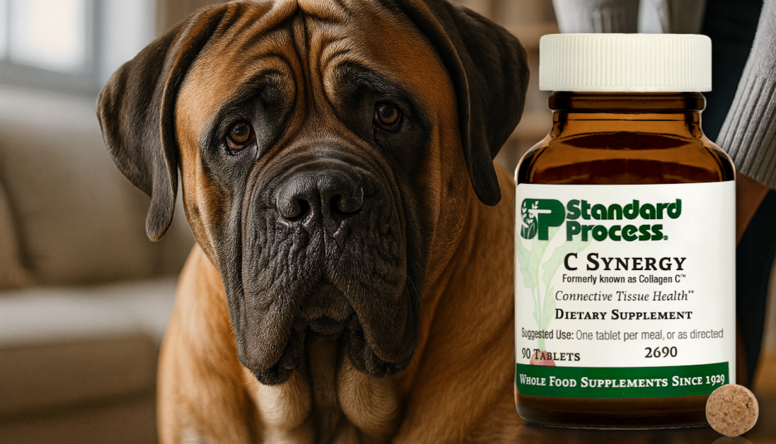 C Synergy for Dogs: Holistic Vet Guide to Immunity, Skin & Joint Care