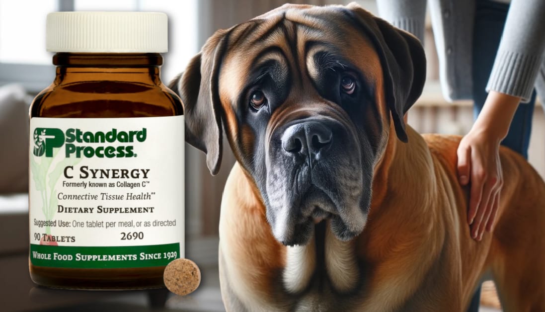 C Synergy by Standard Process for Dogs: A Vet's Approach to Enhanced ...