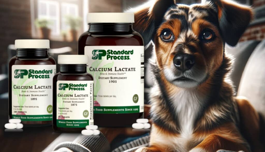 Calcium Lactate by Standard Process for Dogs: Expert Vet Advice on ...
