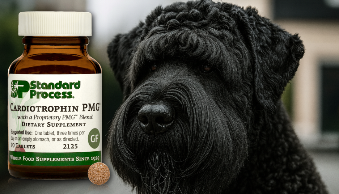 Cardiotrophin PMG® for Dogs: Holistic Vet Heart Care & Prevention