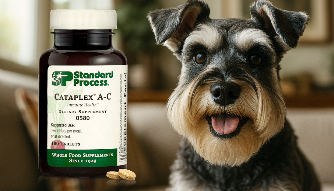 Cataplex® A-C for Dogs: Holistic Vet Guide to Immunity, Skin & Care