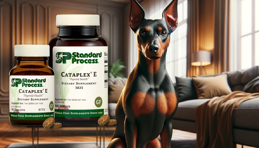 Cataplex® E by Standard Process for Dogs: Vet-Endorsed for Reproductive ...