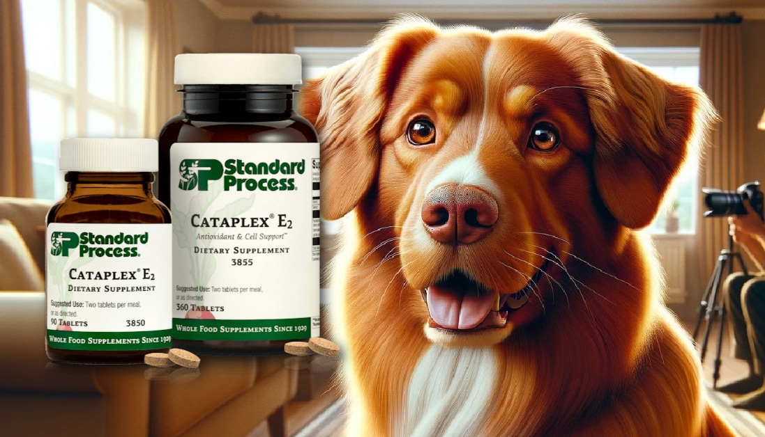 Cataplex® E2 by Standard Process for Dogs: A Vet's Guide to Heart and ...