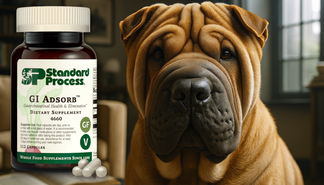 GI Adsorb™ for Dogs: Holistic Vet Care for Digestion & Detox Support