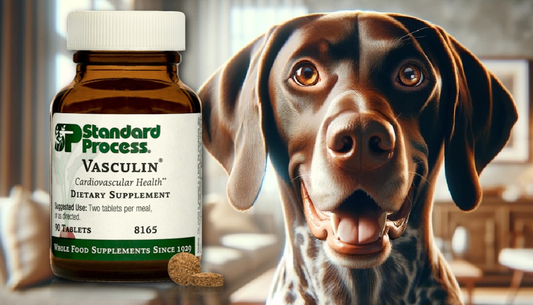 Vasculin® by Standard Process for Dogs: A Vet's Guide to Cardiovascular ...