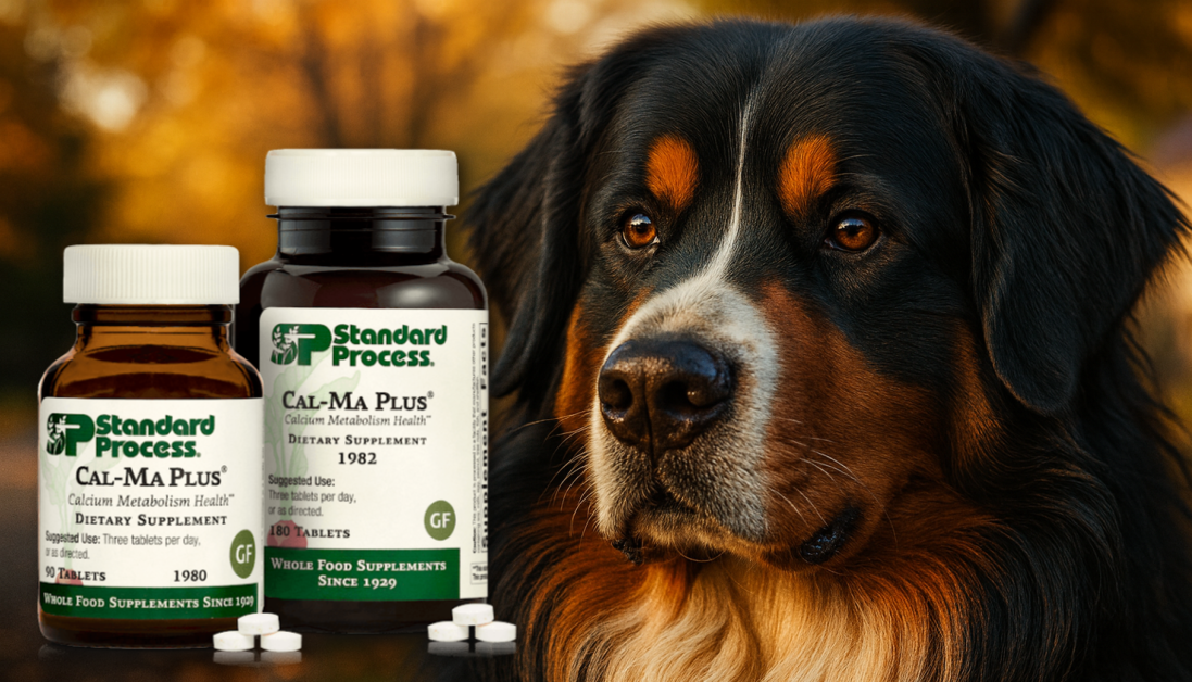 Cal-Ma Plus for Dogs: Holistic Vet Care for Bones, Joints & Recovery