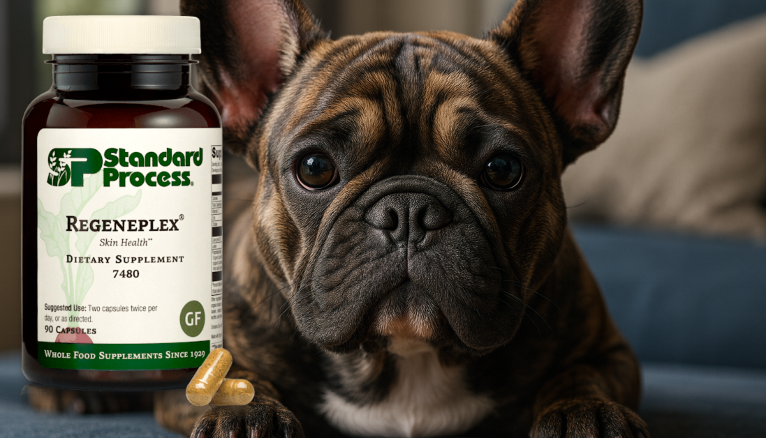 Regeneplex for Dogs: Holistic Vet Guide to Skin & Coat Care