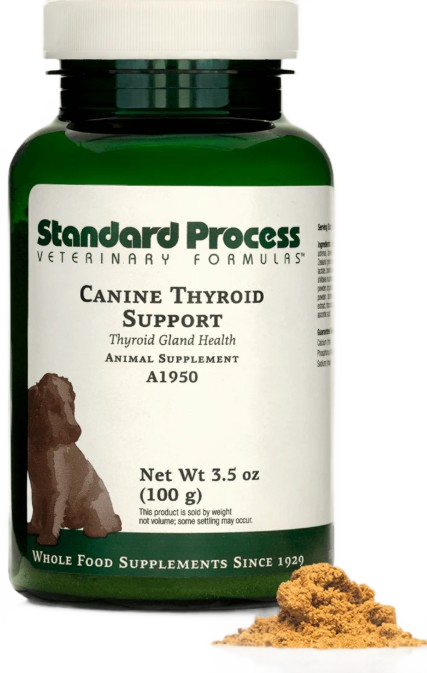 Canine Thyroid Support, 3.5 oz (100 g) - Standard Process- Buy Here